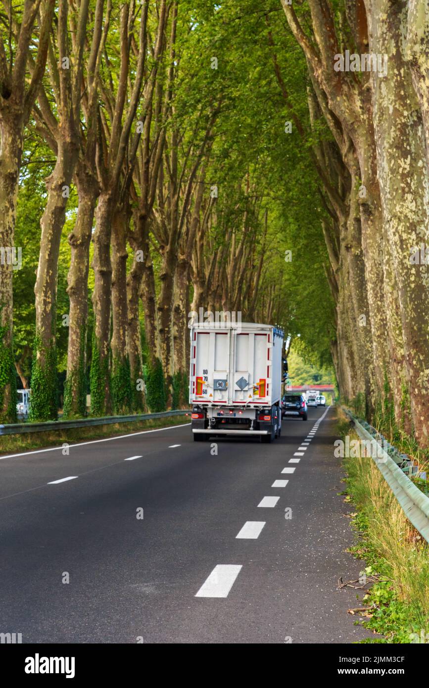 Dump truck driving along a road between two rows of trees Stock Photo ...