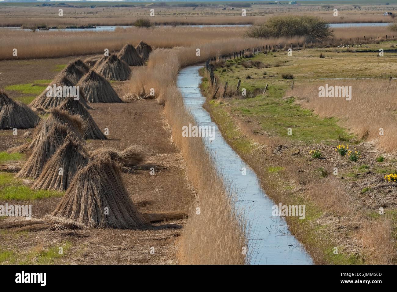 Trockenphase hi-res stock photography and images - Alamy