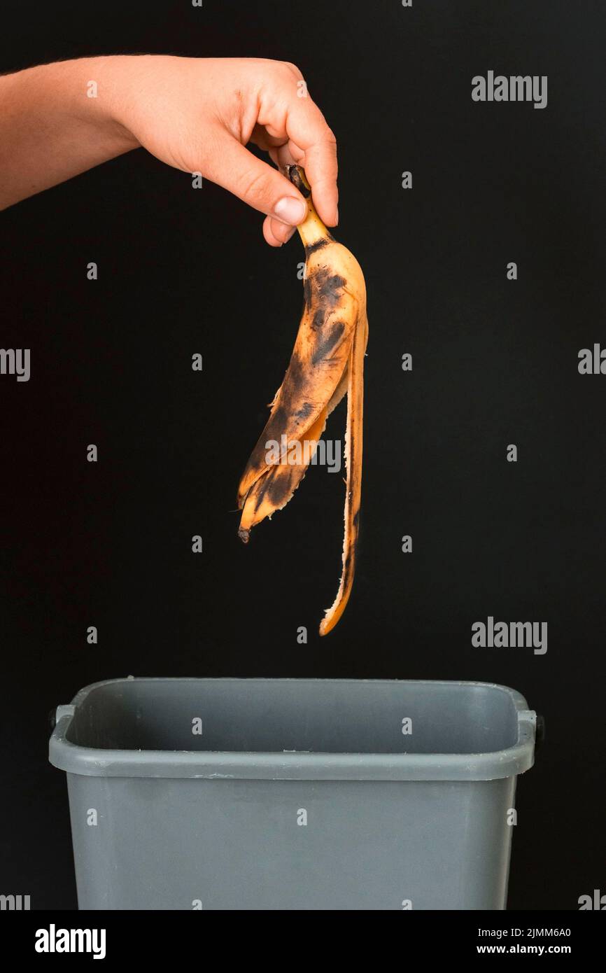 Food waste concept Stock Photo - Alamy