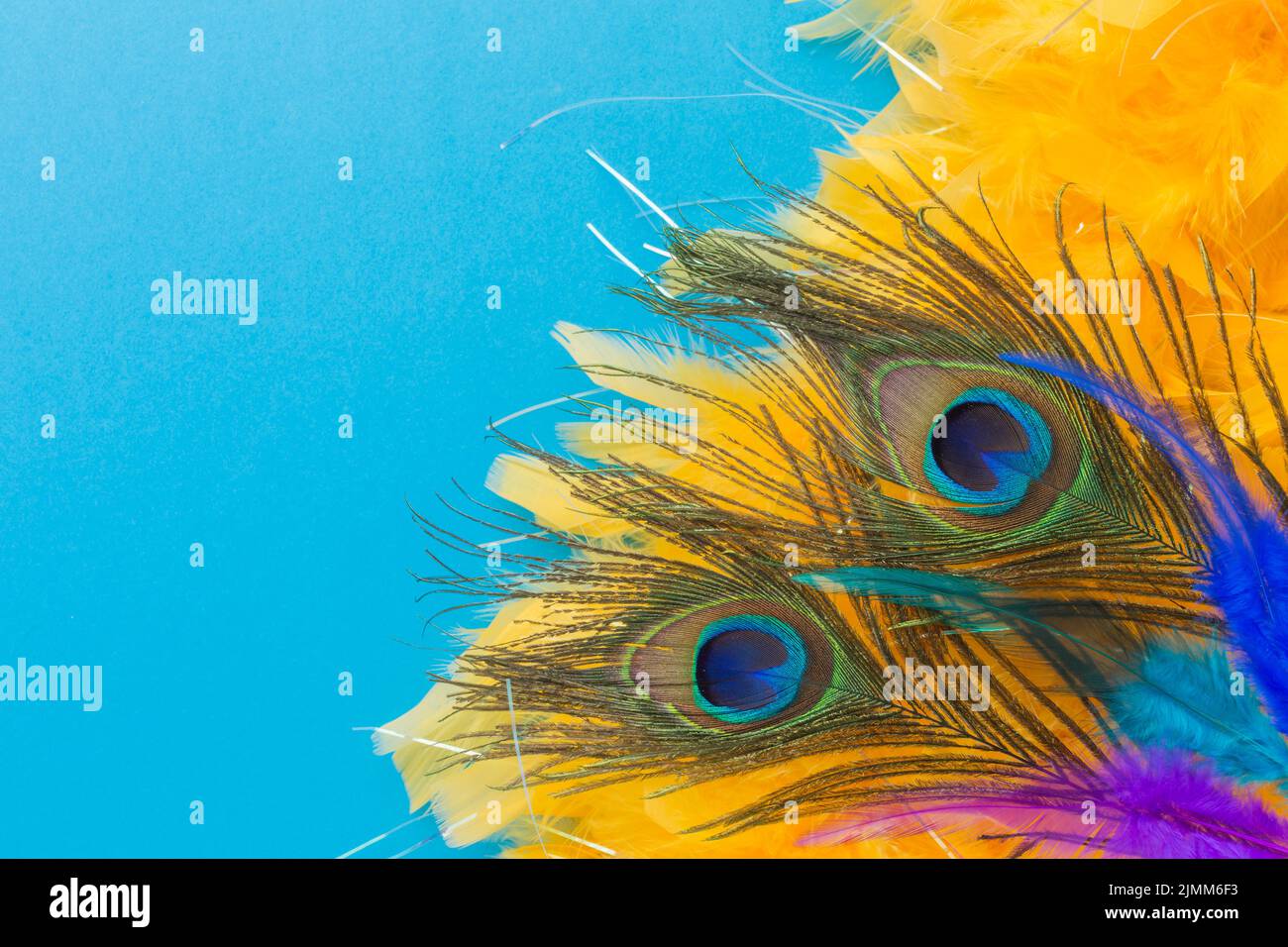 Close up detail feathers hi-res stock photography and images - Alamy