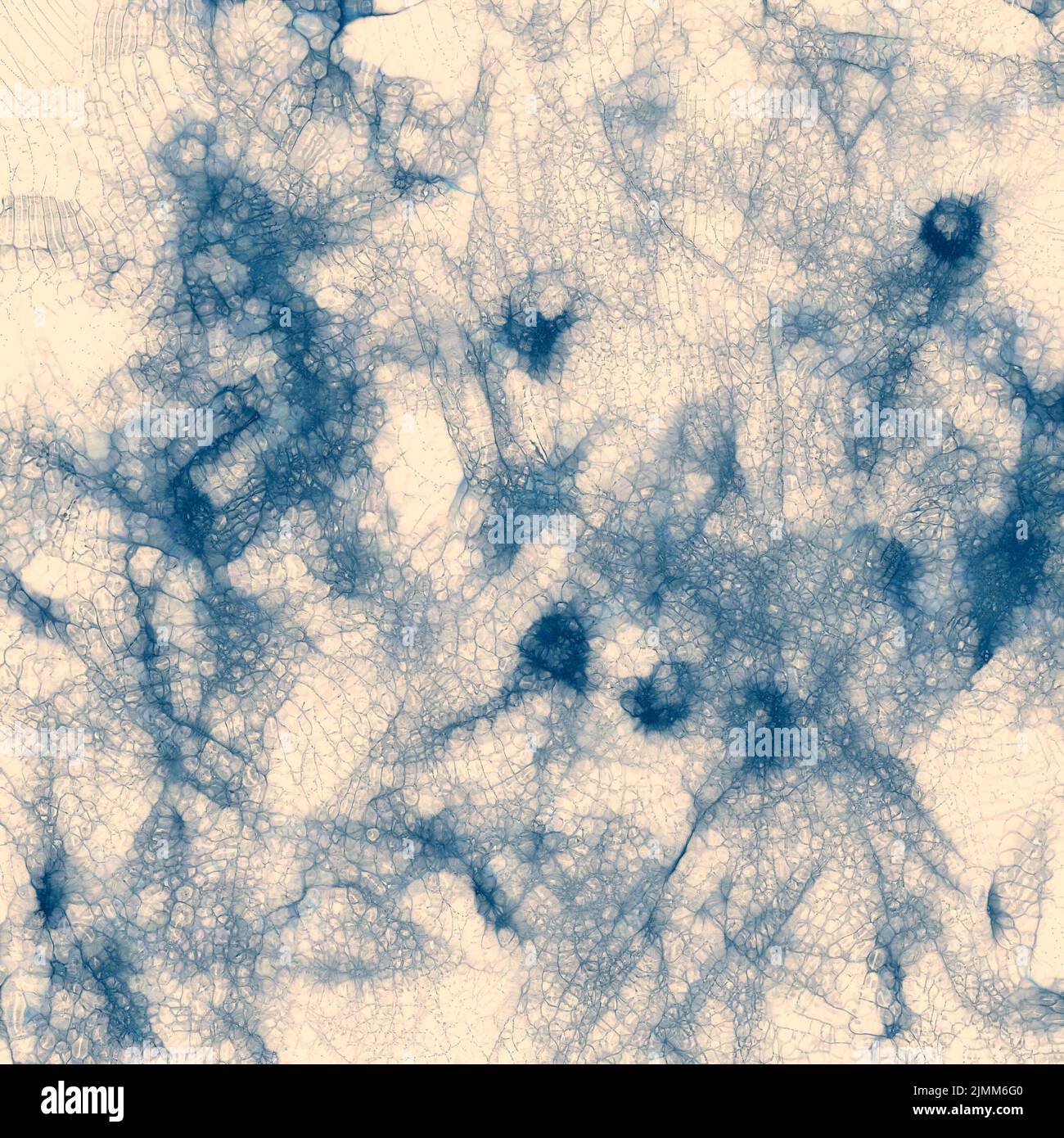 Abstract blue pttern on the light background. Biological cells imitation Stock Photo - Alamy