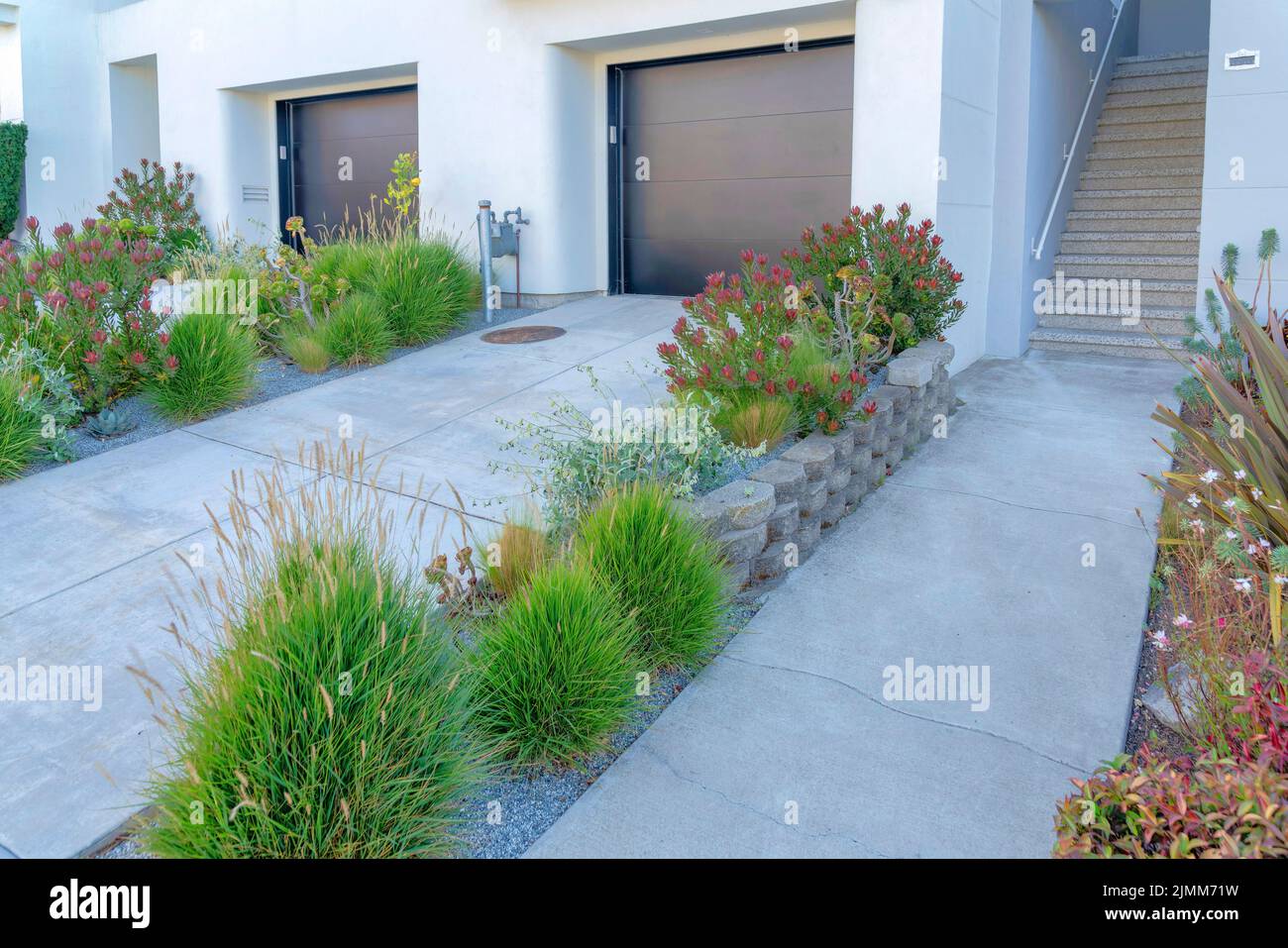 Concrete pathway near the driveway with plants on the side at San ...