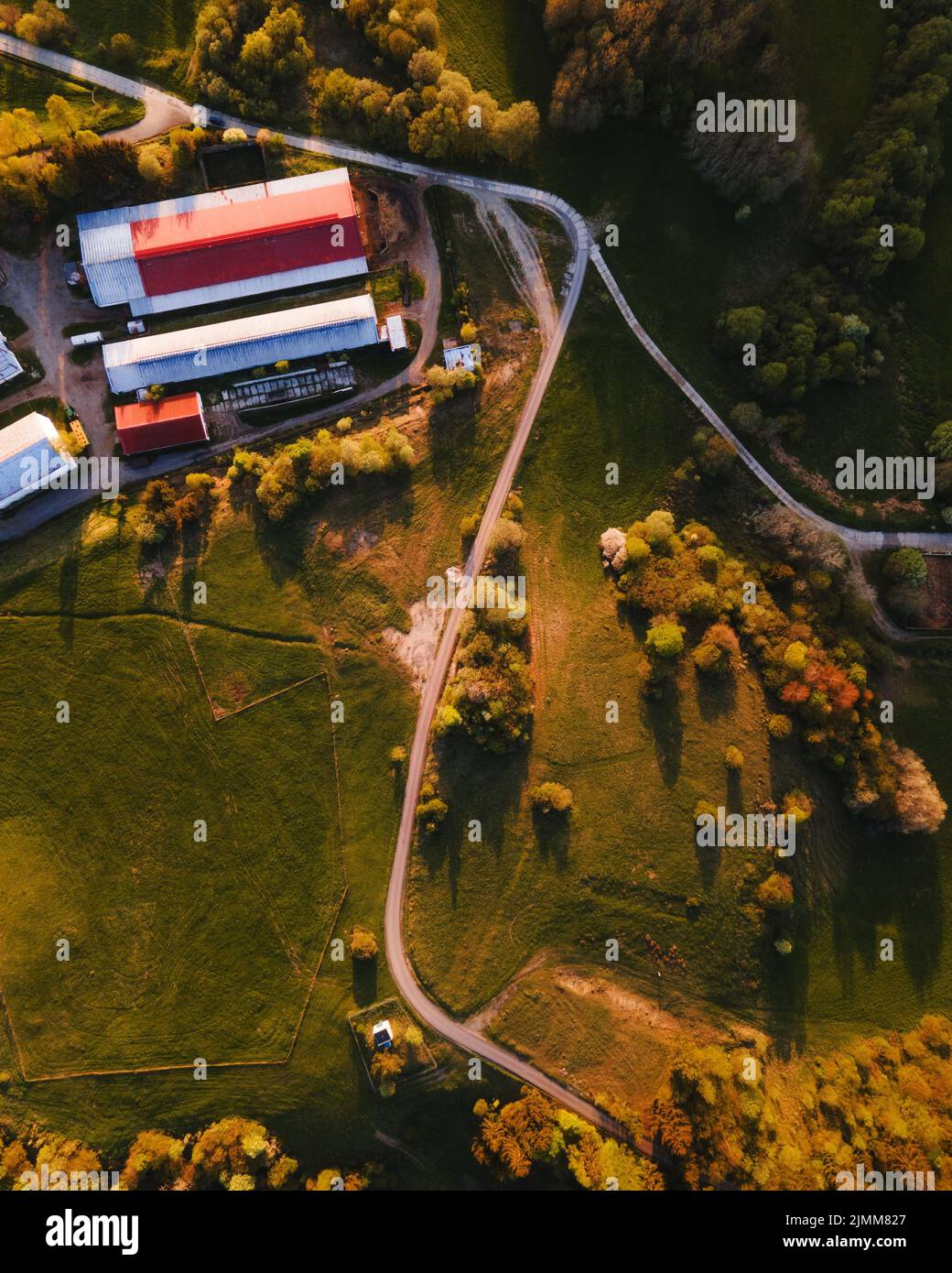 An aerial top view of a road in a green field against a forest and ...