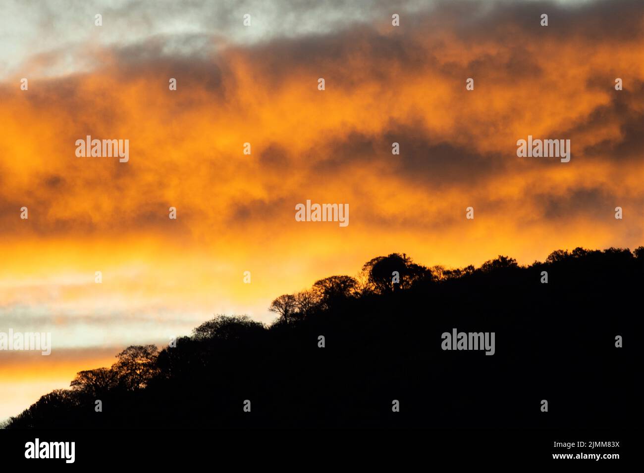 The pre-dawn light sets stratocumulus clouds glowing with golden light ...