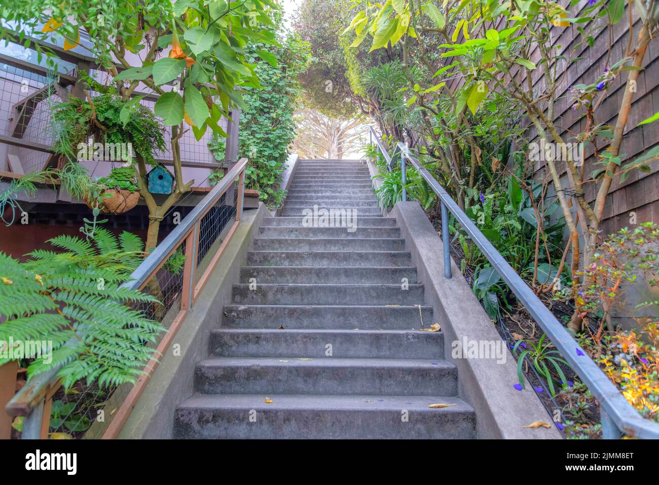 Concrete straight staircase in the middle of residential buildings in ...