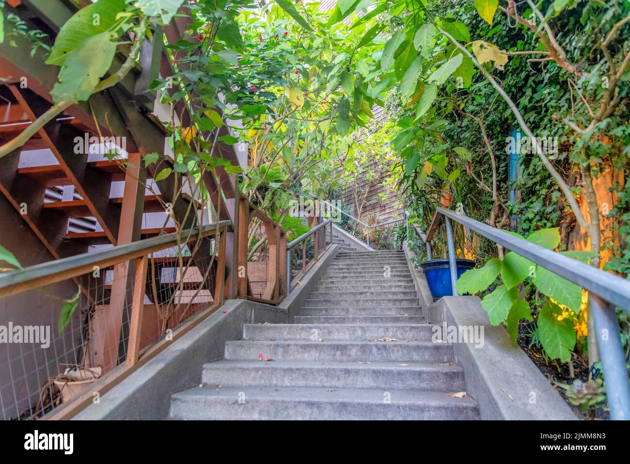 Staircase outside the houses at San Francisco in California. Staircase ...