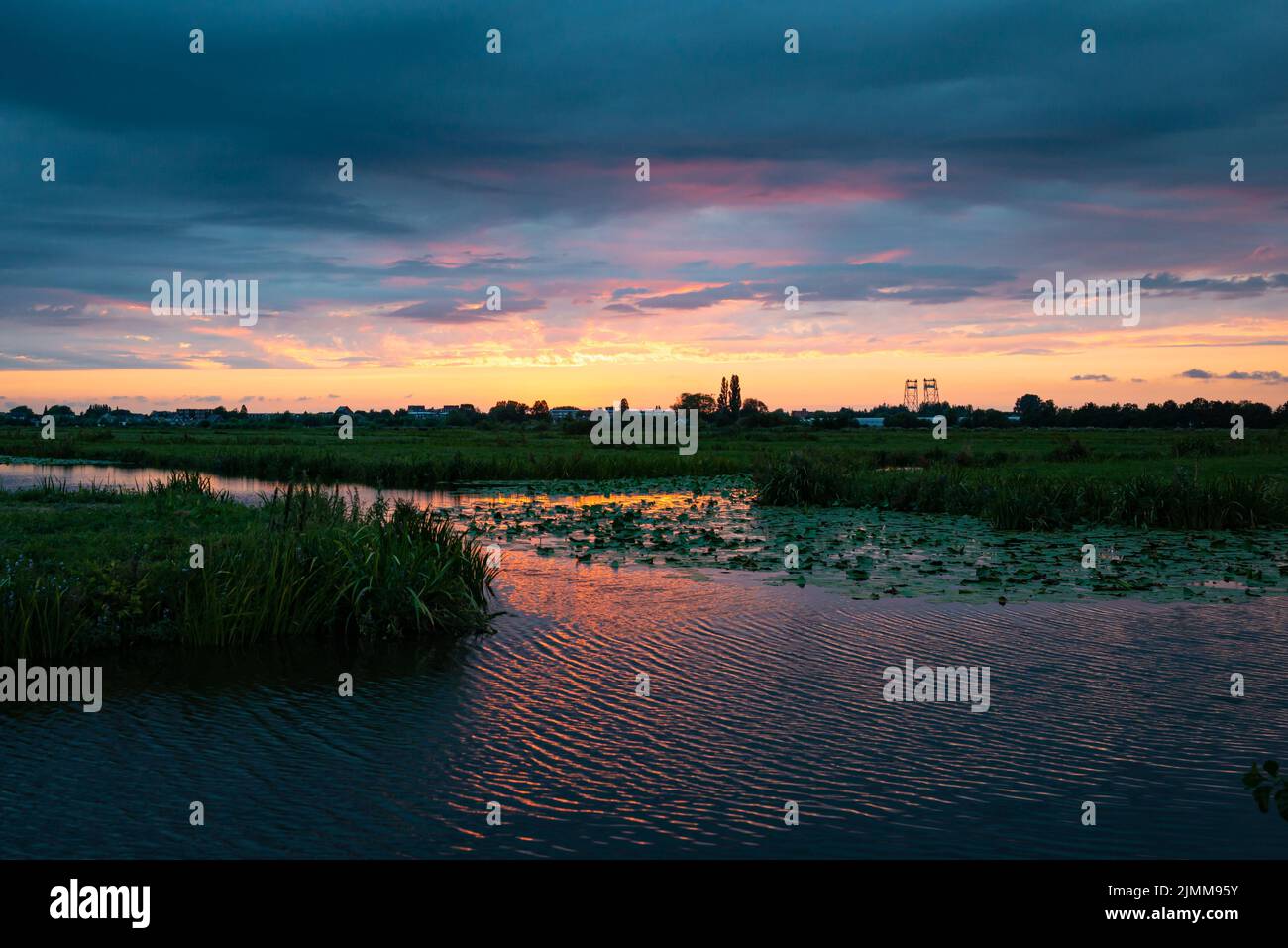Purple sunset over the Dutch watery landscape in the vicinity of Gouda ...