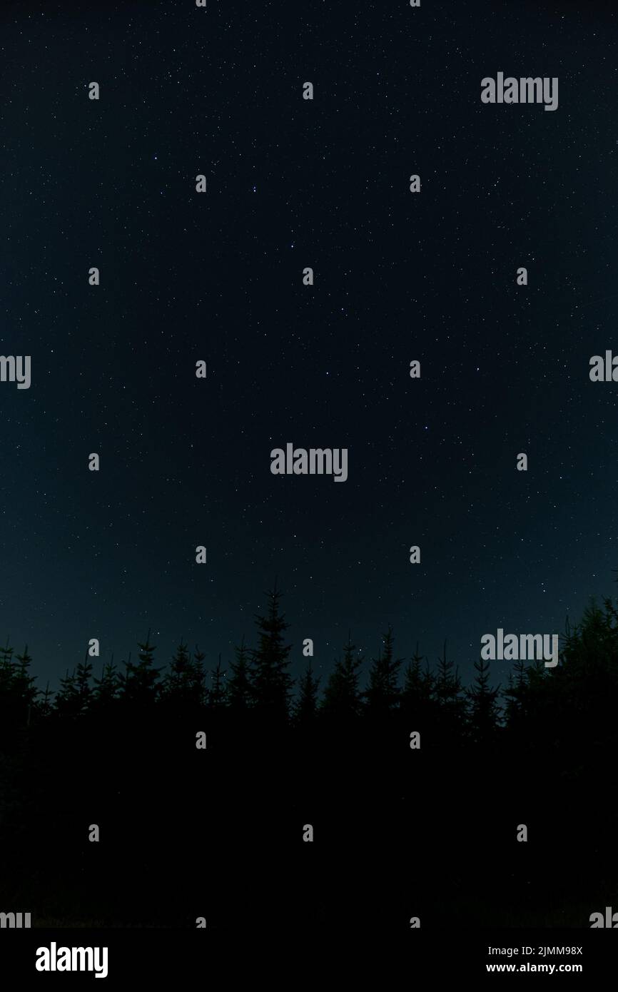 Constellation "Great Dipper" over a spruce forest Stock Photo - Alamy