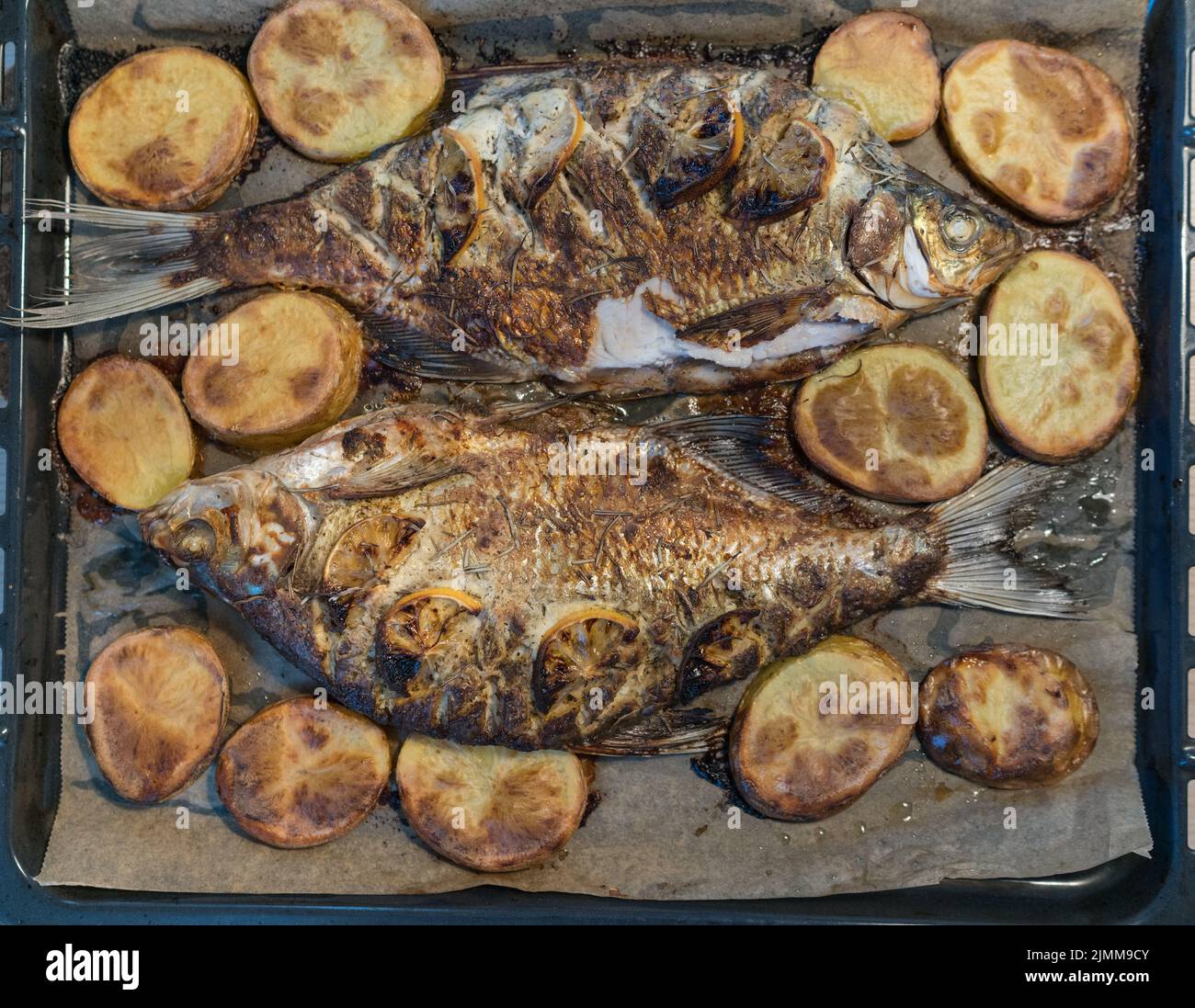 Just baked freshwater bream fish cooked with fresh rosemary and species ...