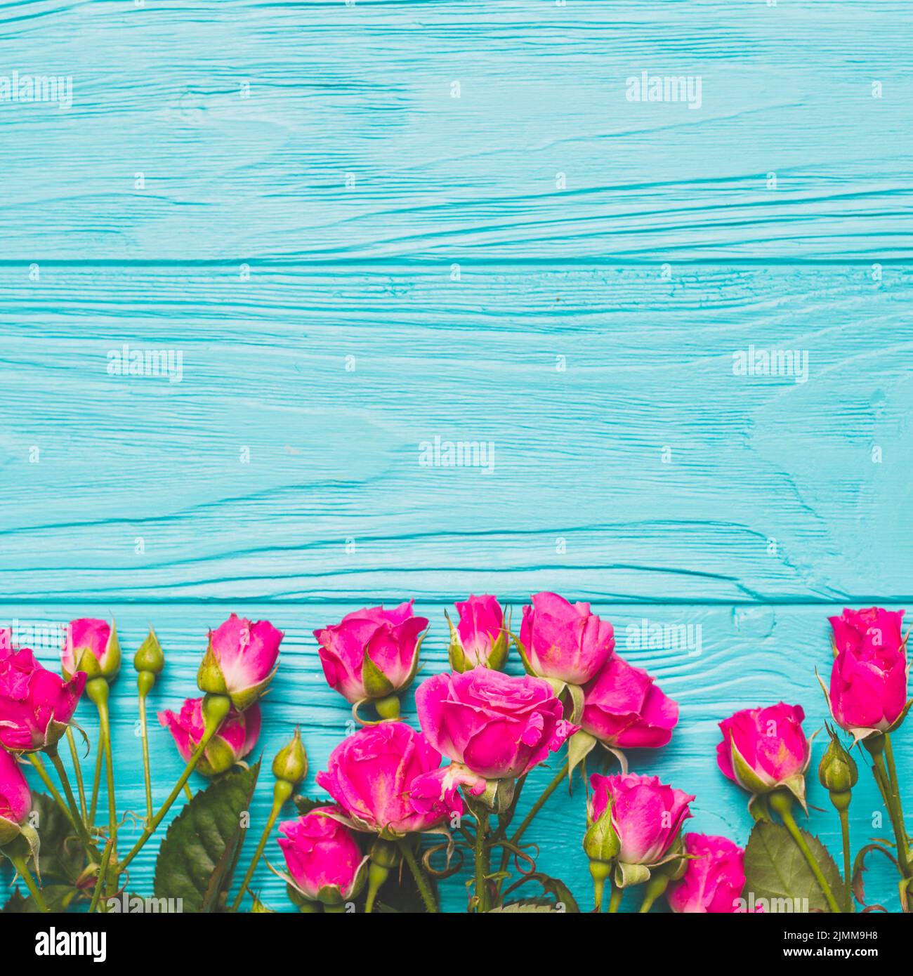 Magenta turquoise hi-res stock photography and images - Alamy