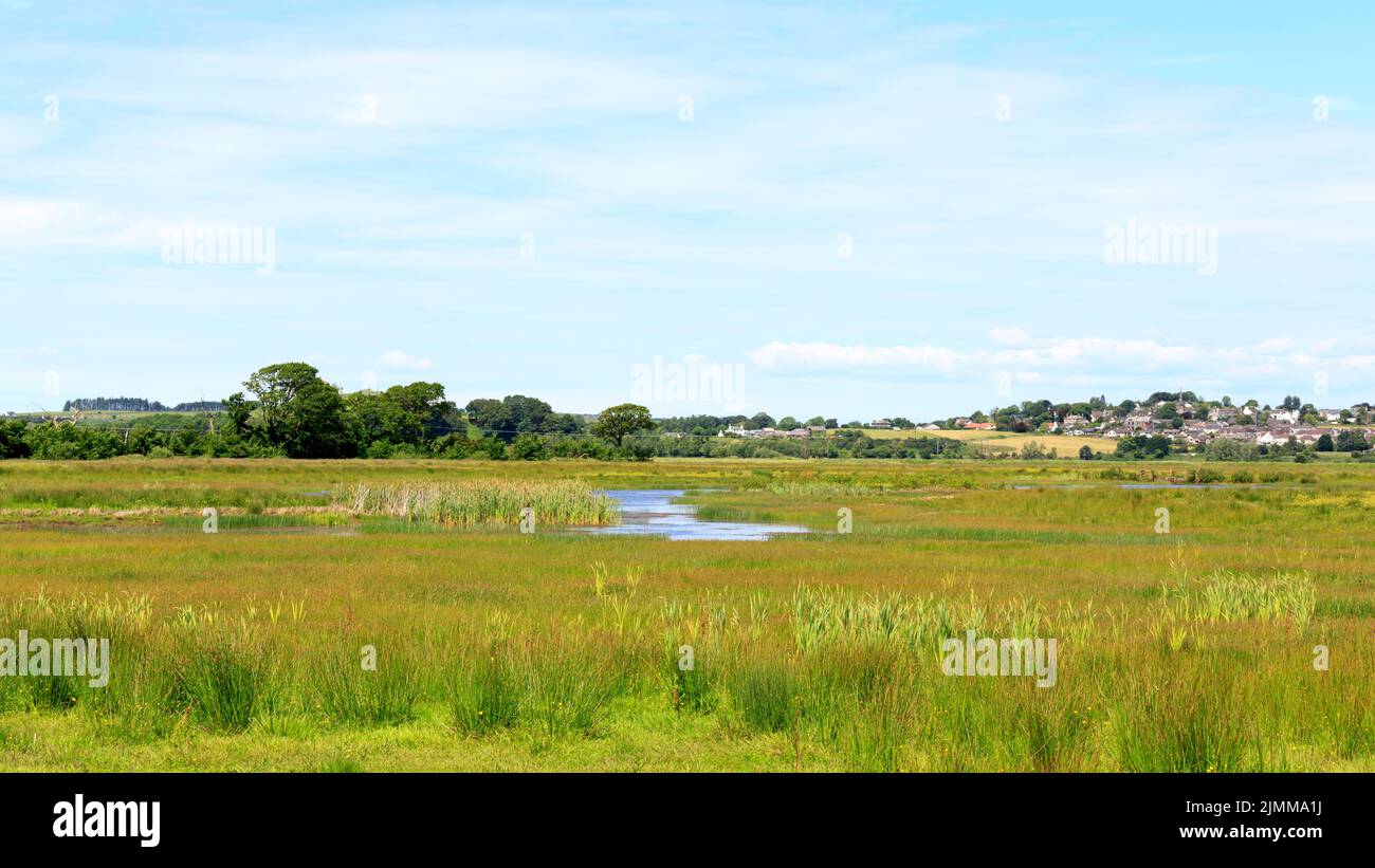 Rural scotland nature hi-res stock photography and images - Alamy