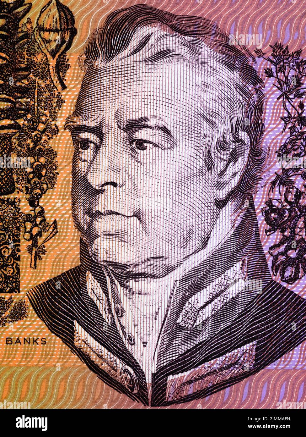 Joseph Banks portrait from Australian money - Dollar Stock Photo - Alamy