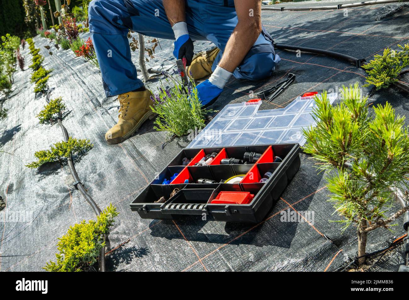 Professional Landscaper Installing Drip Irrigation System in a Newly ...