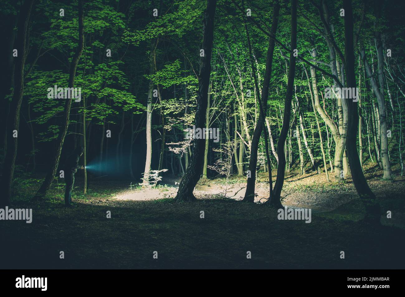 Man with Turned On Flashlight in His Hands Standing in the Middle of ...