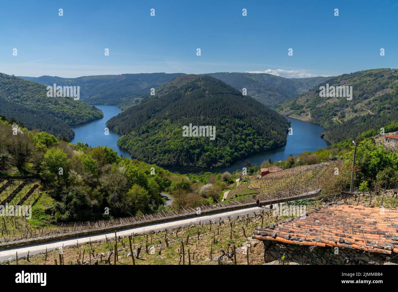 A view of the Minho River in Galicia with typical terraced vineyards ...