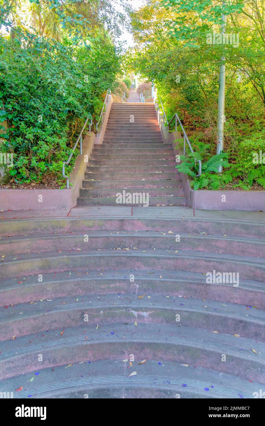 Cocrete perron stairway with curved steps at the front and straight ...