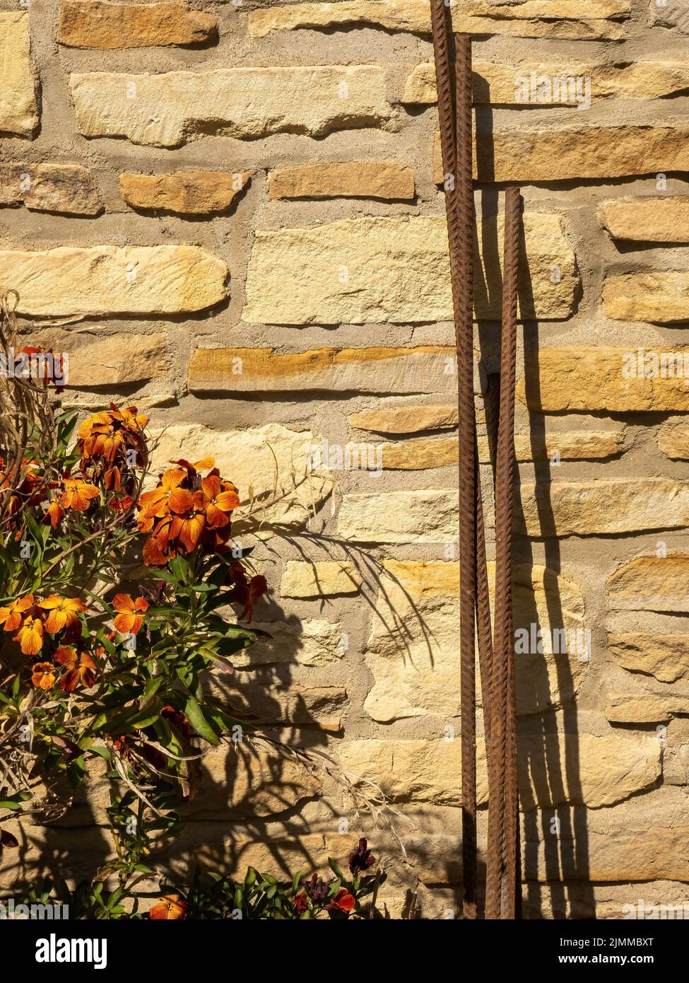 Stone wall flowers hi-res stock photography and images - Alamy