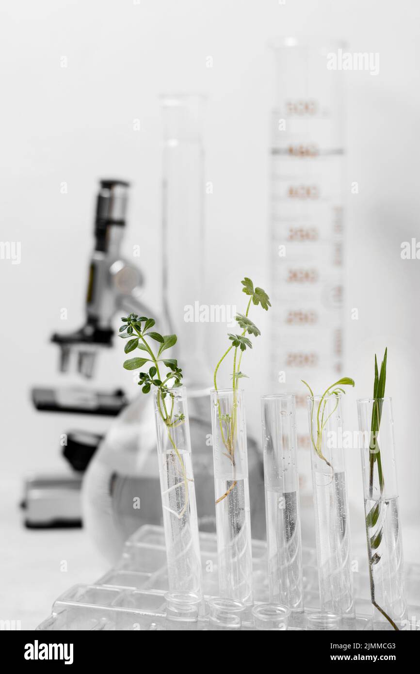 Science view hi-res stock photography and images - Alamy