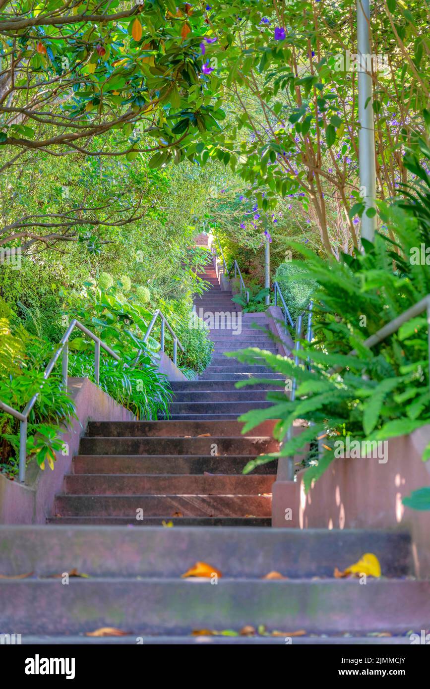 Long concrete staircase in an outdoor nature park in San Francisco ...