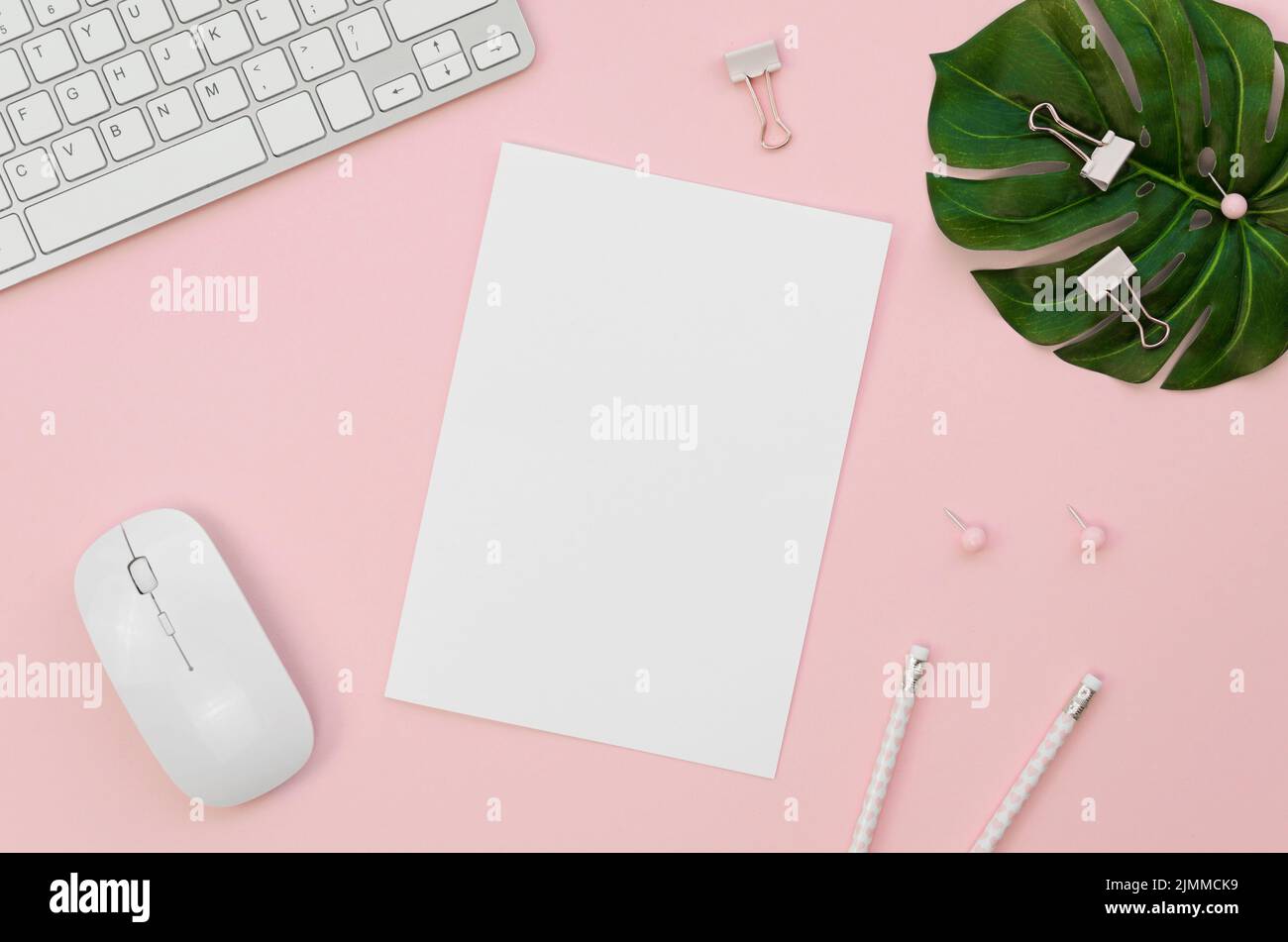 Top view office supplies with plant keyboard Stock Photo - Alamy