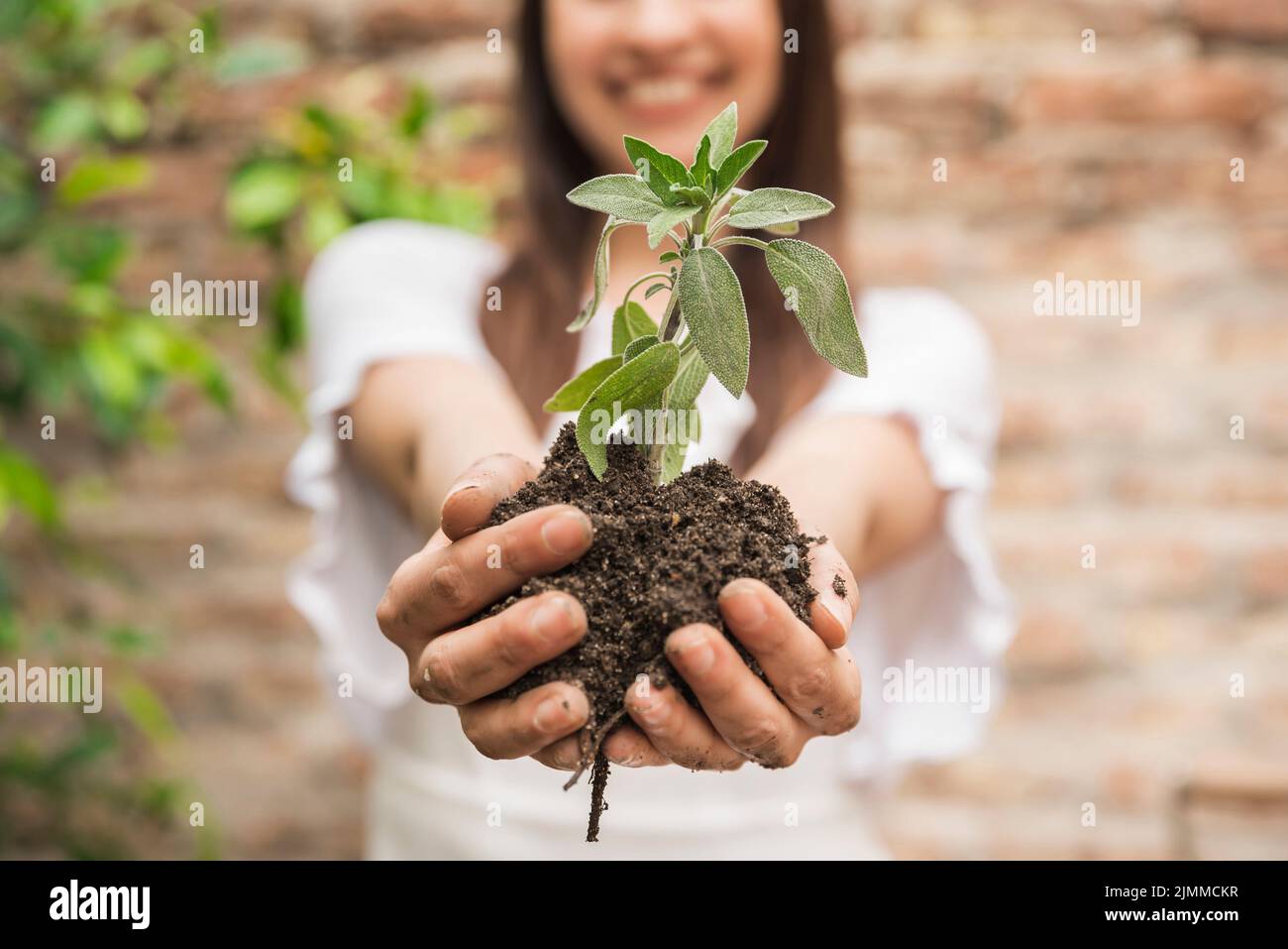 Hand holding green seedling with soil hi-res stock photography and images - Alamy