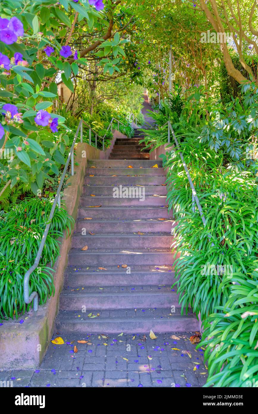 Entrance of a concrete outdoor staircase in a park at San Francisco ...