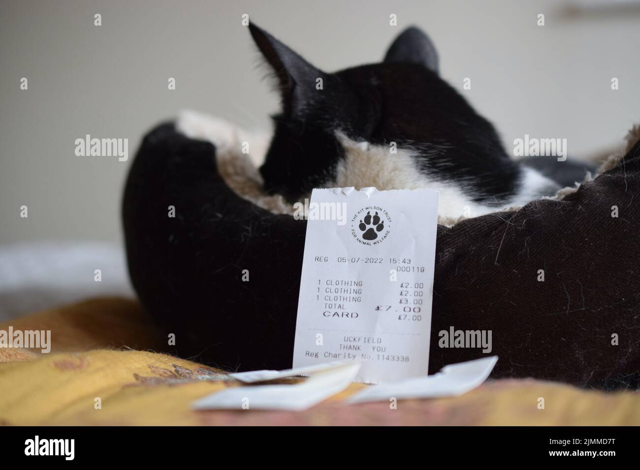 Cat protection charity shop receipt and a cat on background Stock Photo ...