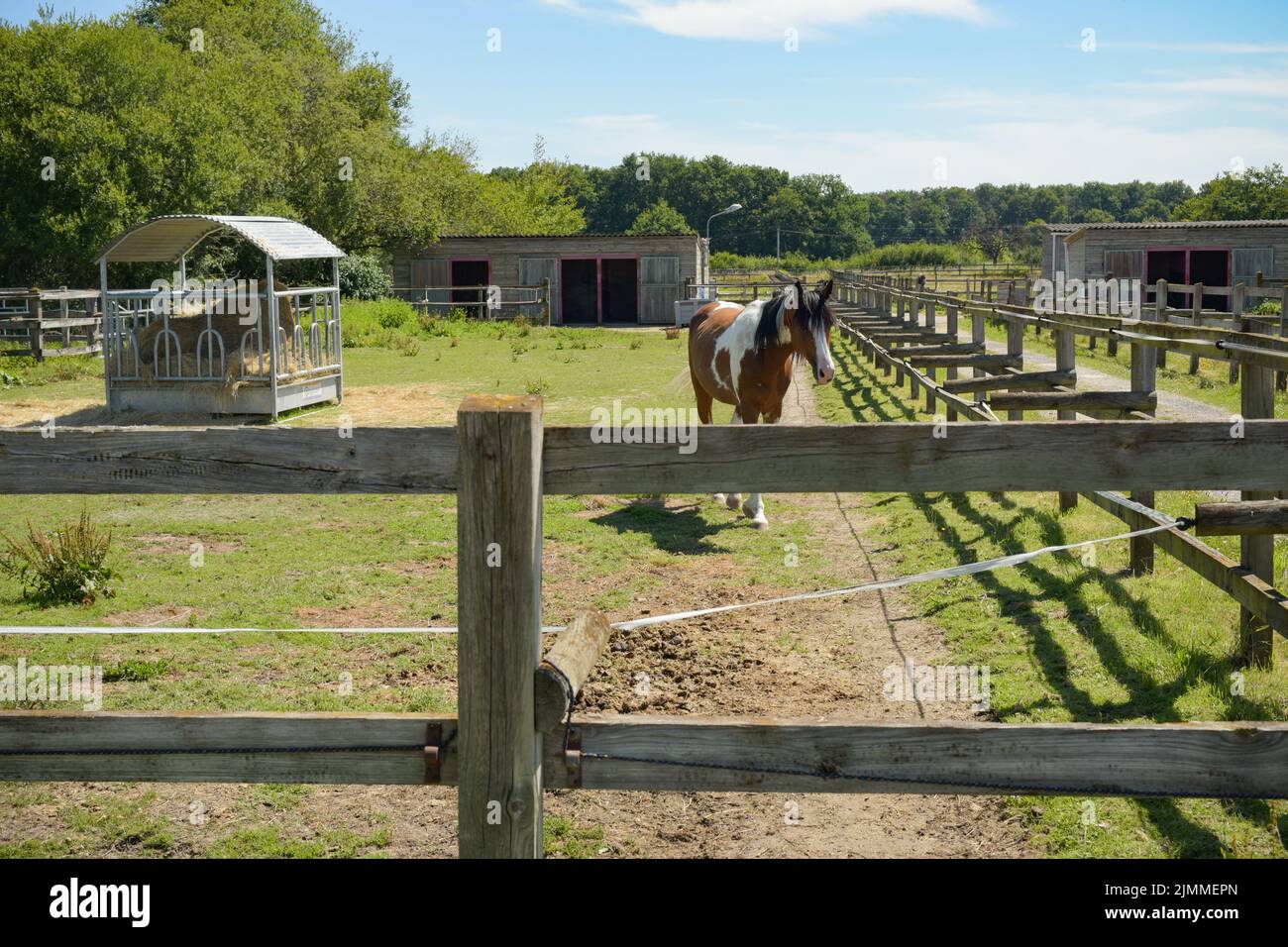 horse in a stable in the countryside in France Stock Photo - Alamy