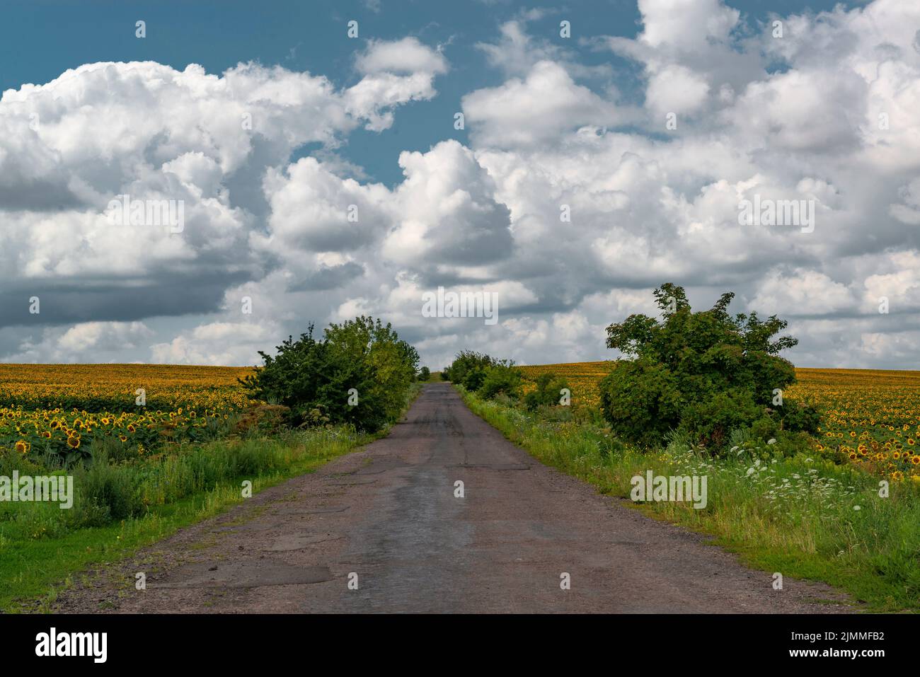 Road outgoing to the sky hi-res stock photography and images - Alamy