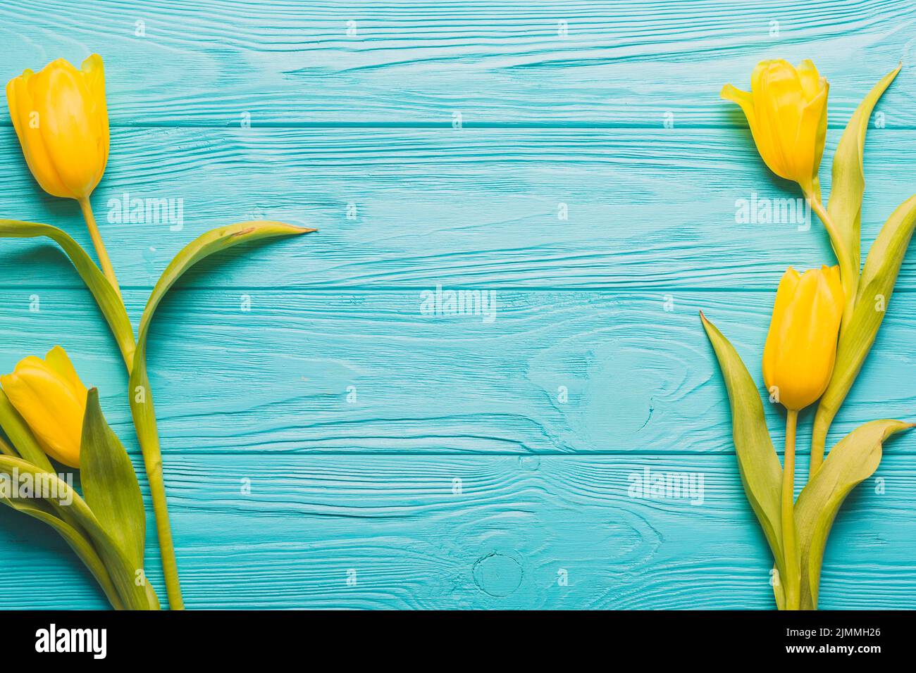 Turquoise yellow background hi-res stock photography and images - Alamy