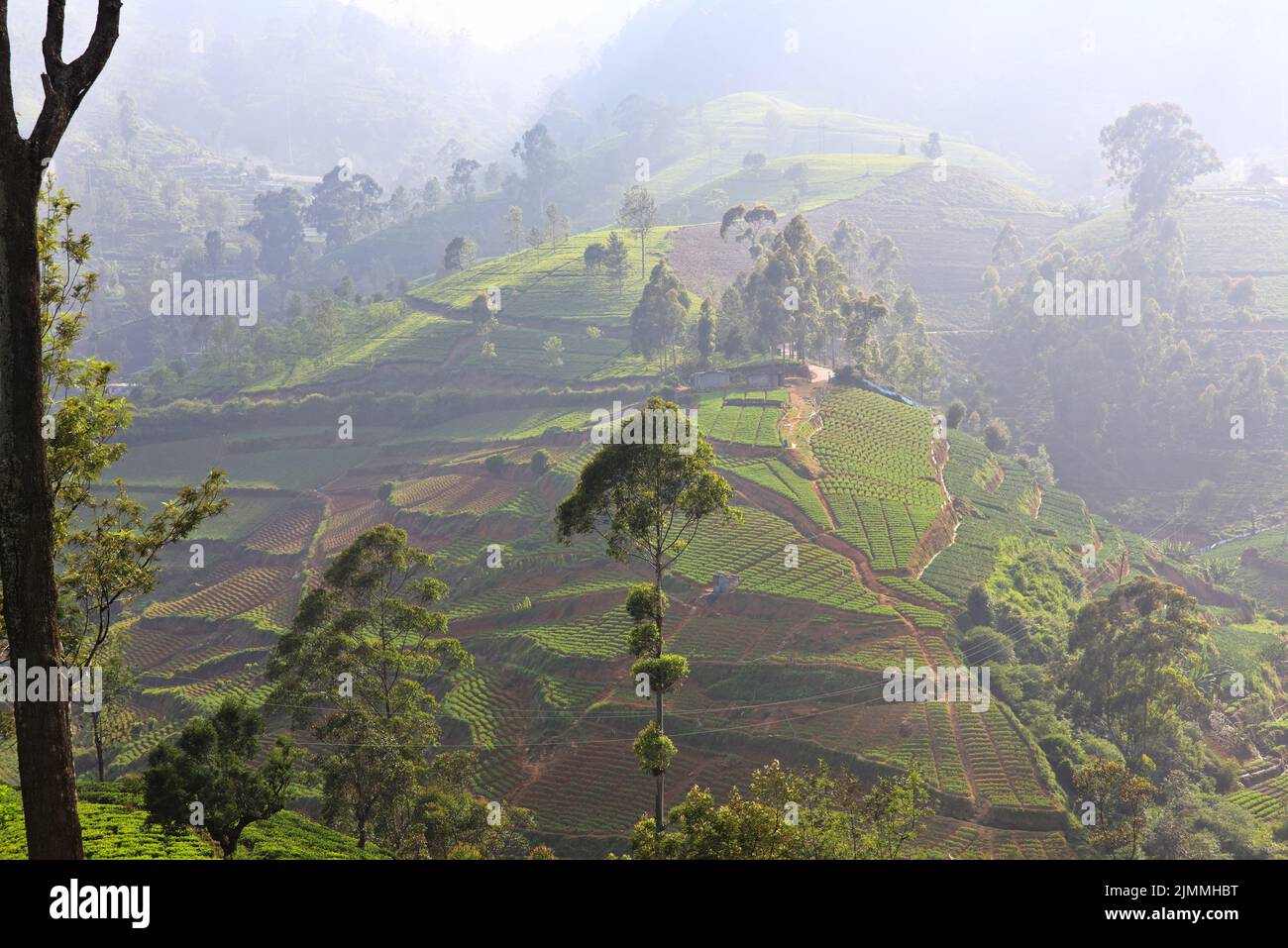 Sri Lanka landscapes Stock Photo - Alamy