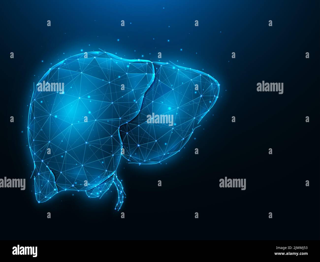 Abstract polygonal illustration of a human liver on a dark blue ...