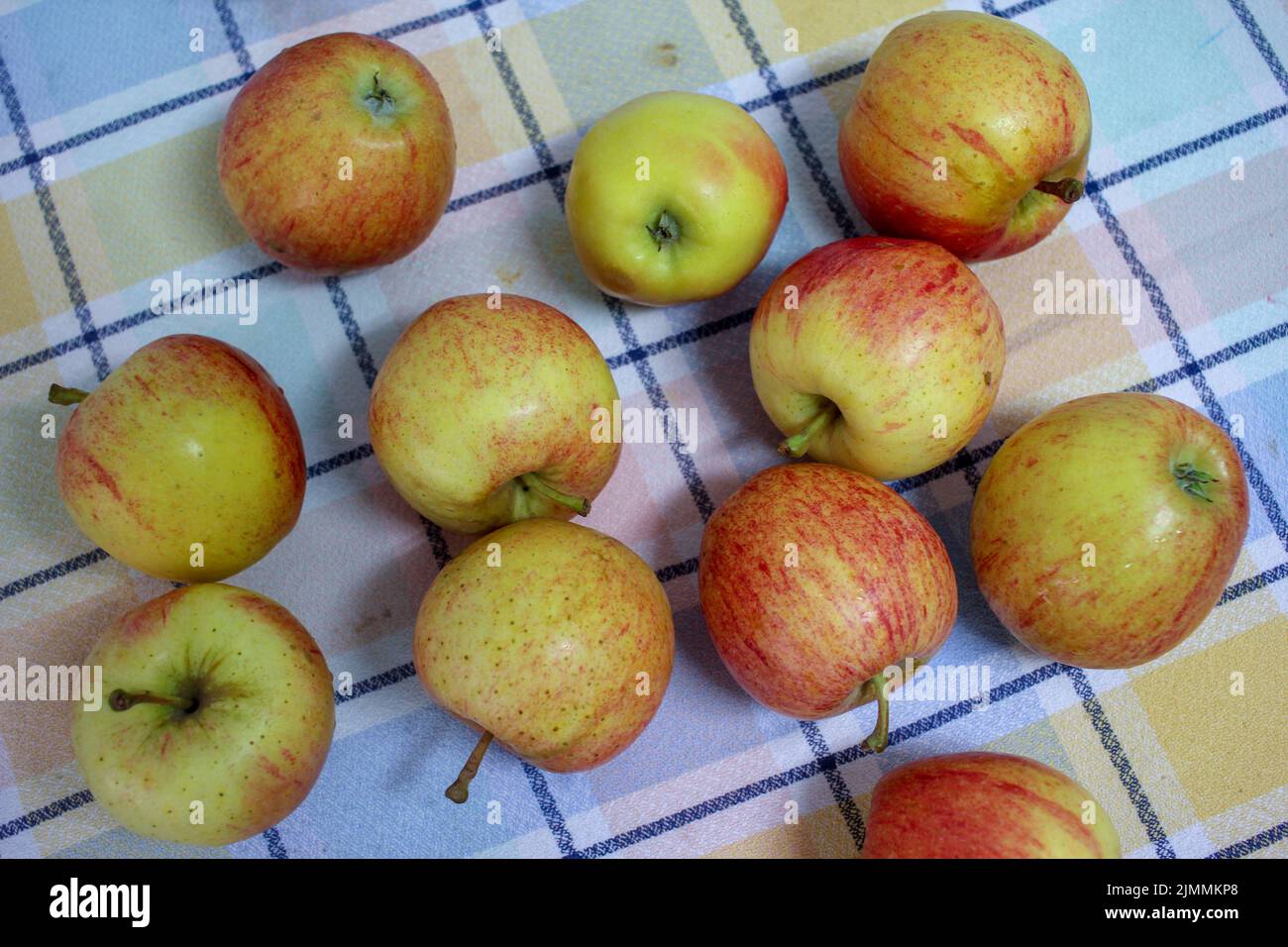 trying to eat an apple a day and trying to eat organic apples Stock ...