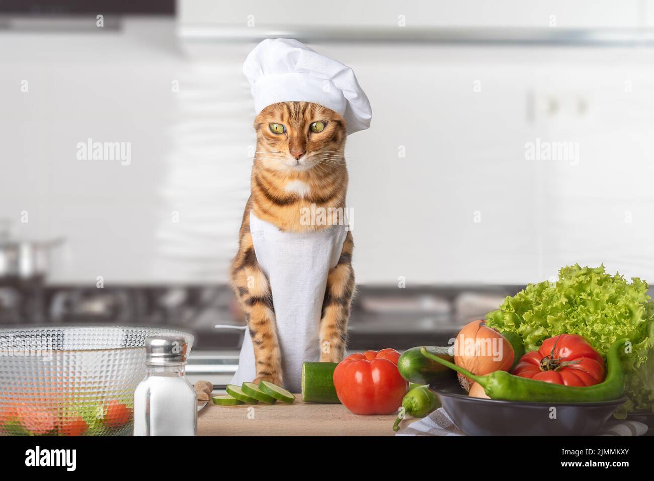 Bengal cat, cutting board and vegetables in the kitchen Stock Photo - Alamy