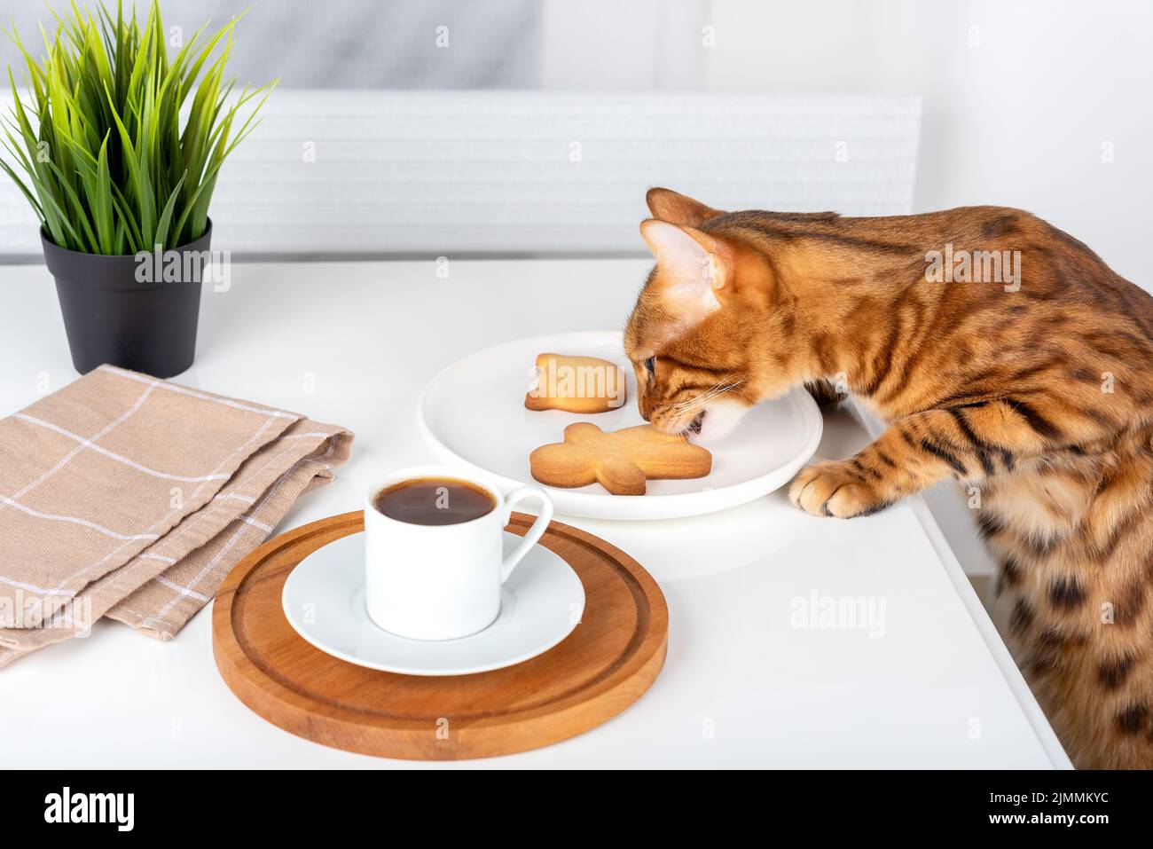 Funny gingerbread cookies on hi-res stock photography and images - Alamy