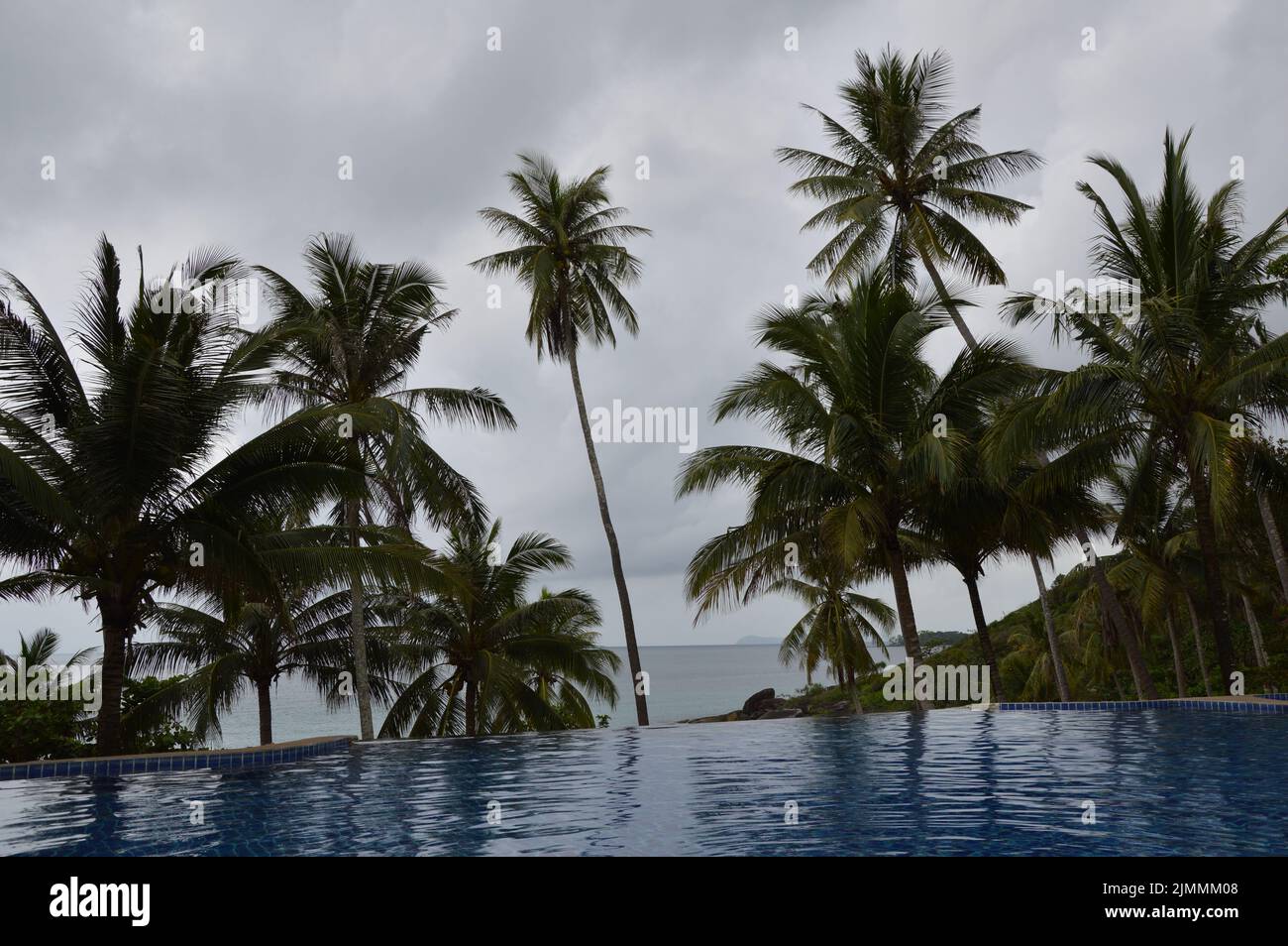 Swimming Pool in the tropics Stock Photo - Alamy