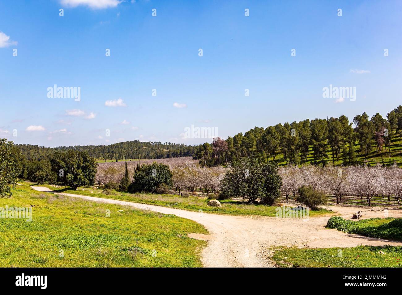 Sunny warm light hi-res stock photography and images - Alamy