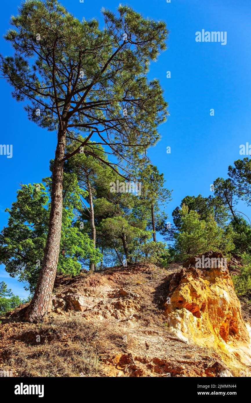 Ocher landscape hi-res stock photography and images - Alamy
