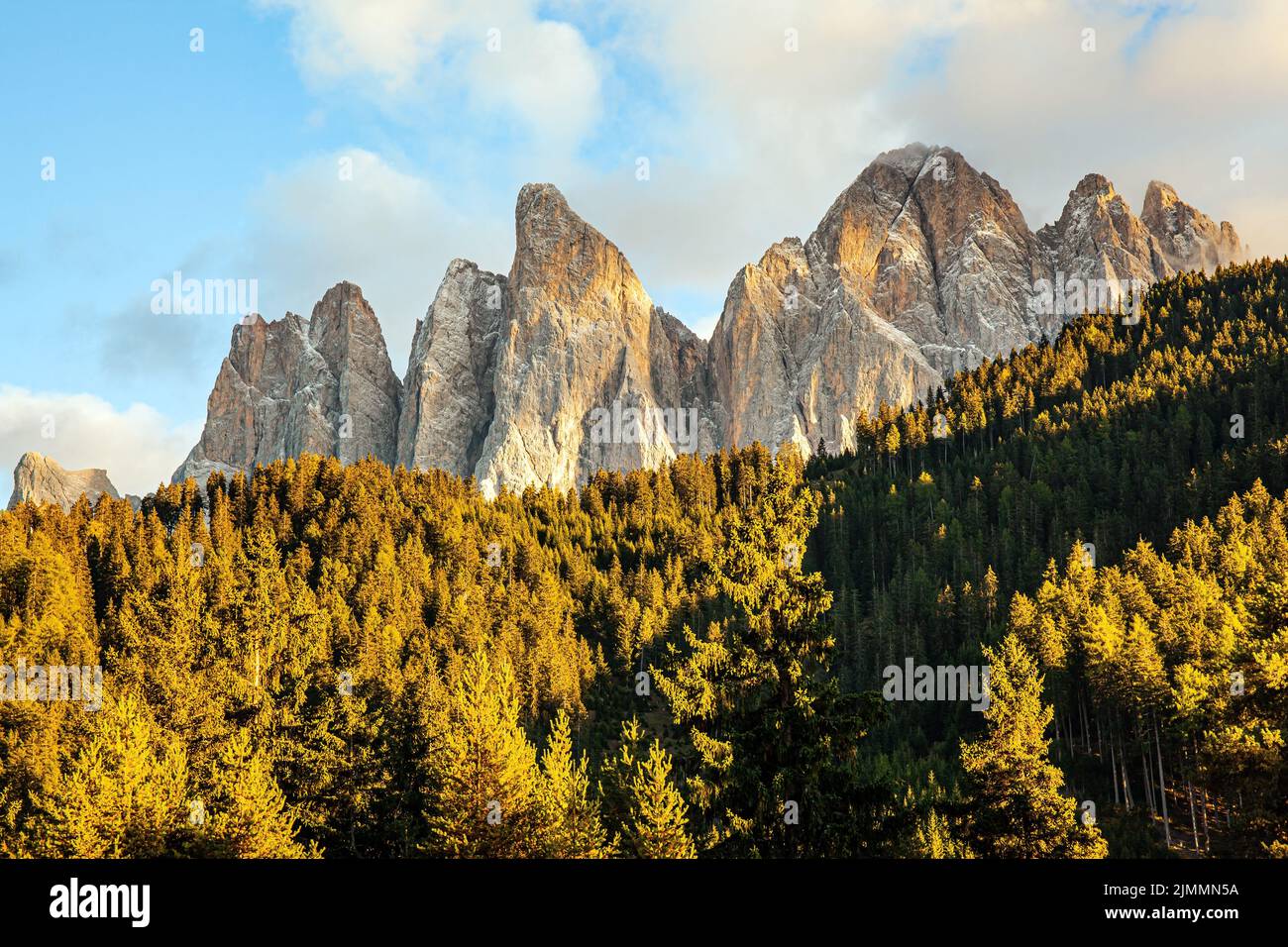 Mountain forests hi-res stock photography and images - Alamy