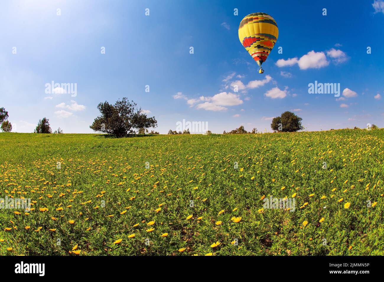 The hot air balloon flies Stock Photo - Alamy