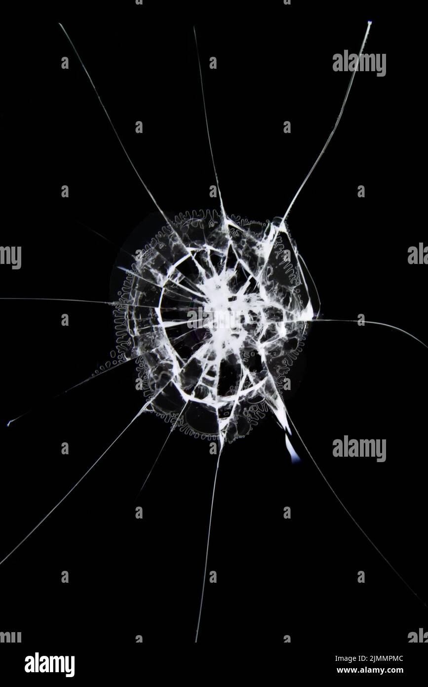 Shot windscreen hi-res stock photography and images - Alamy