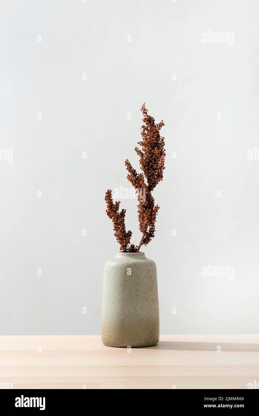 Front view vase with plant Stock Photo - Alamy