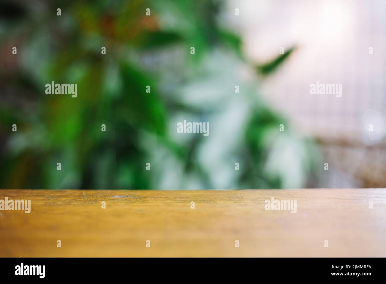 Wooden tabletop blurred background plants Stock Photo - Alamy