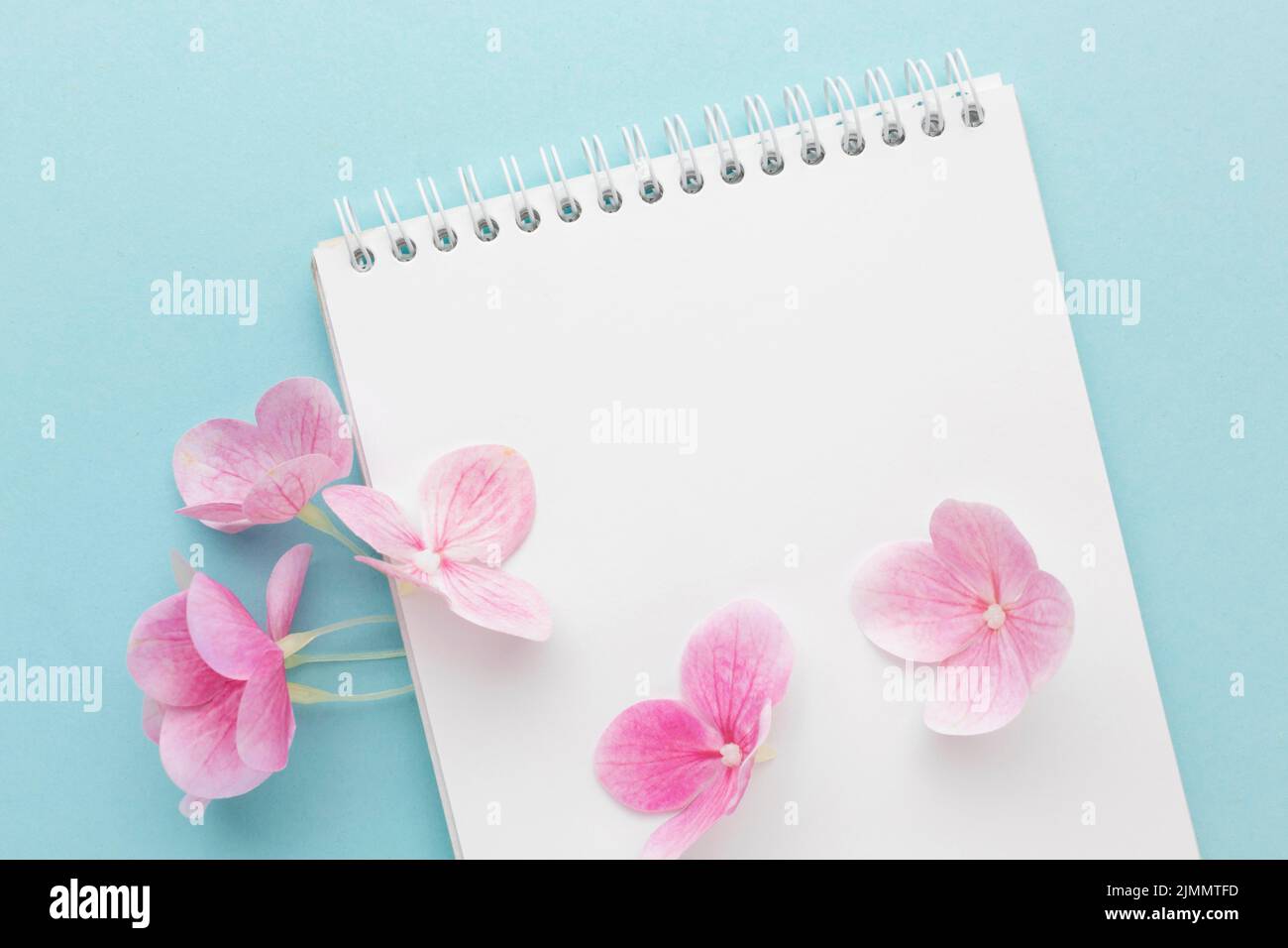 Composition blank notebook modern hi-res stock photography and images ...