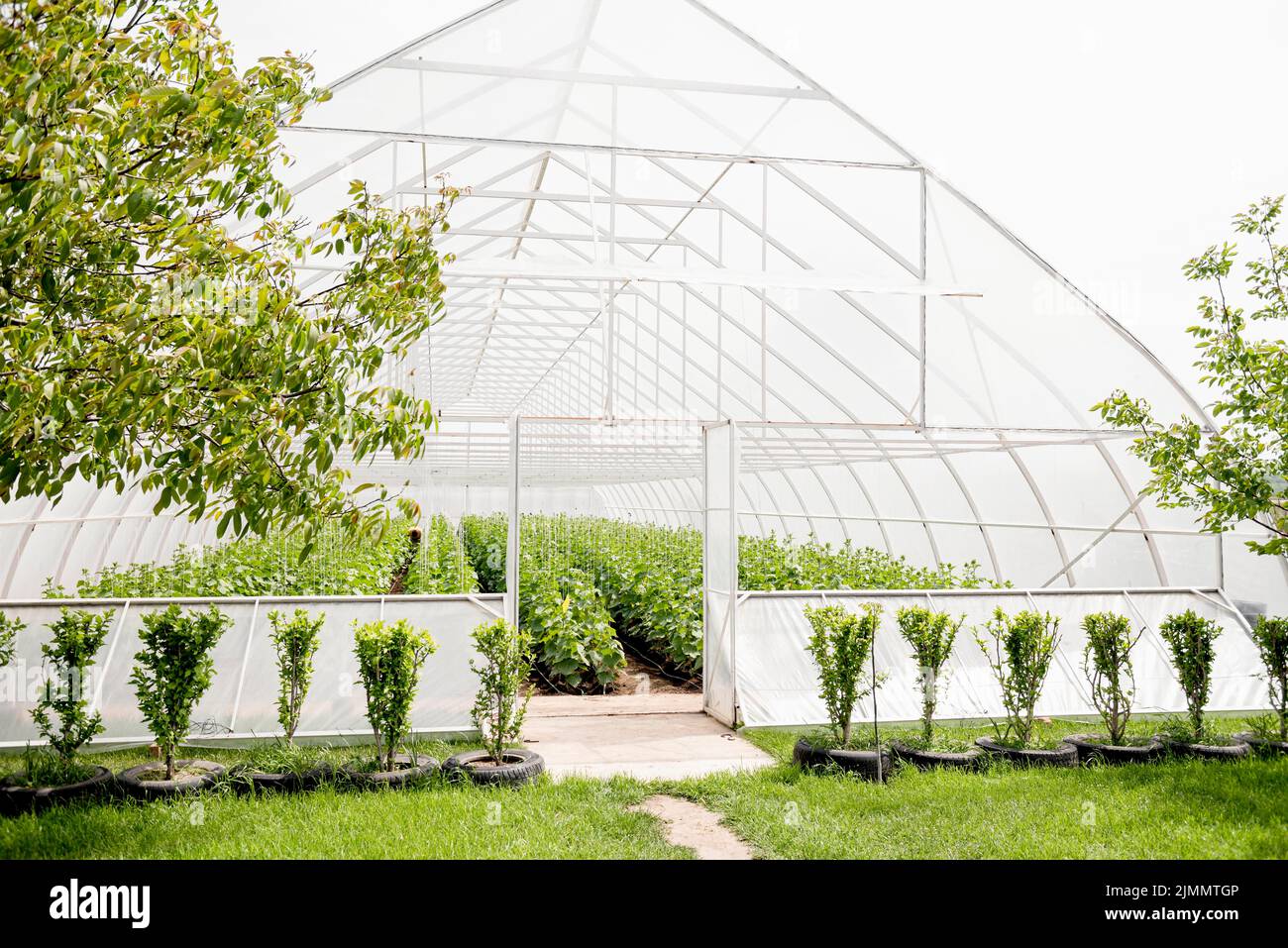Beautiful countryside greenhouse trees Stock Photo - Alamy
