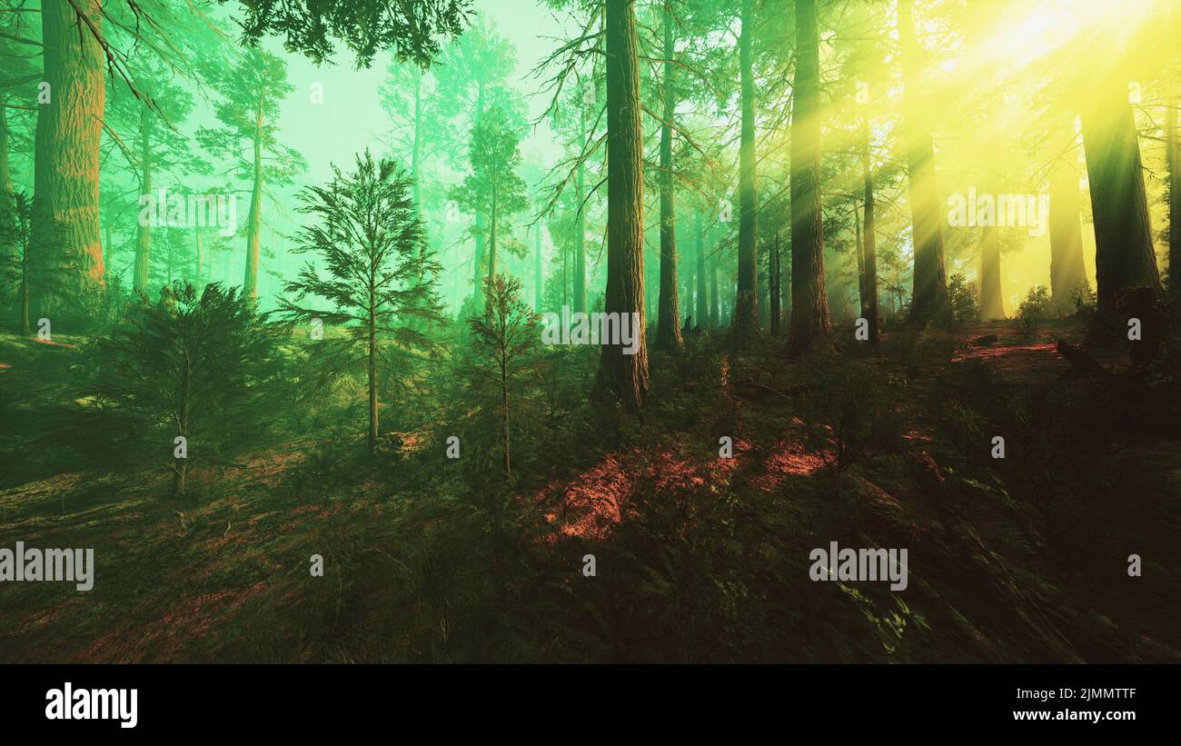 Mysterious Fairy Tale Deep Magic Forest Stock Photo - Alamy