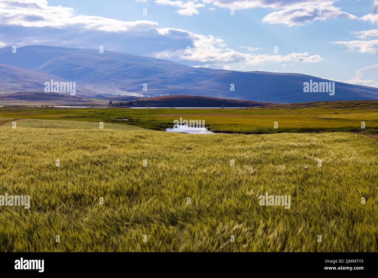 Turkey country farming hi-res stock photography and images - Alamy