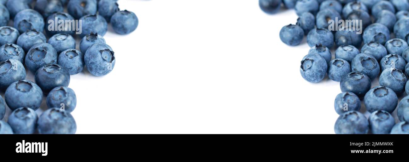 Fresh juicy ripe blueberries isolated on white background. Blueberry ...