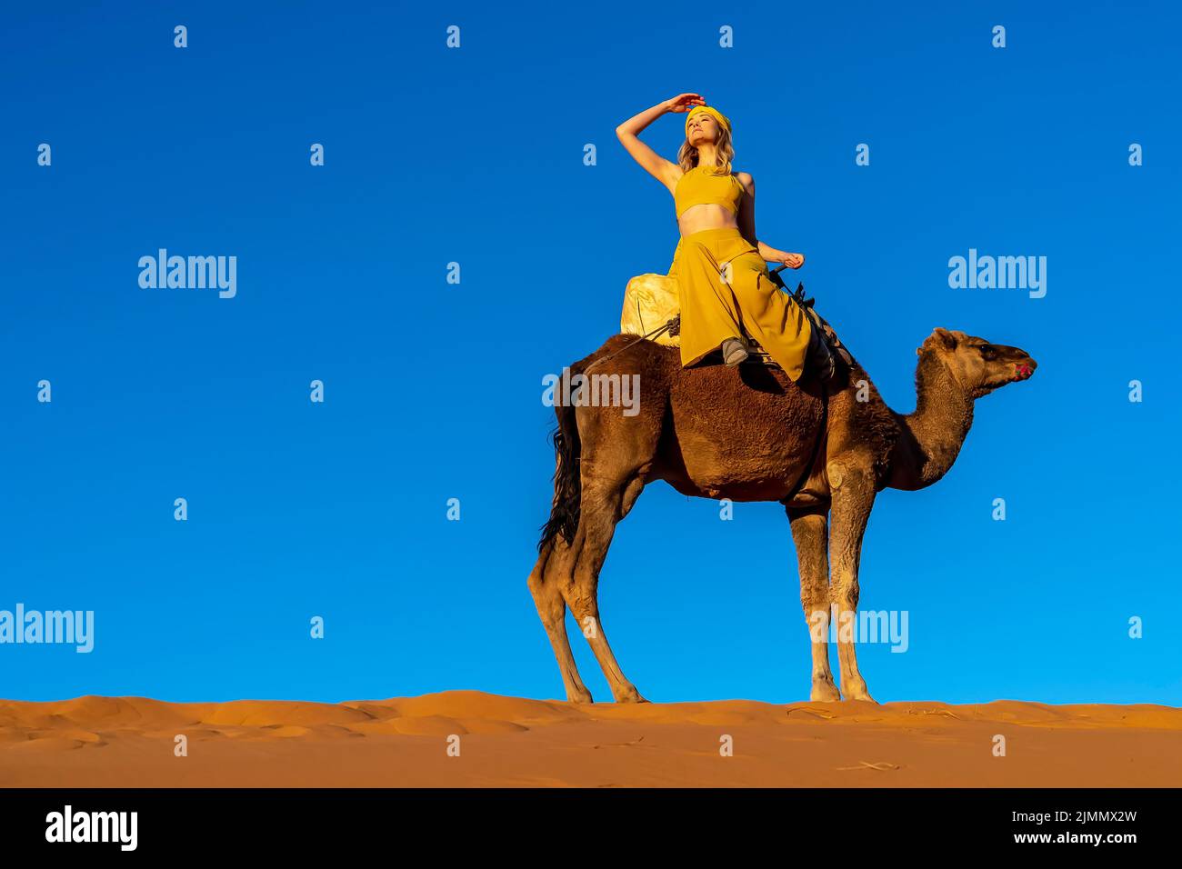A Lovely Model Rides A Dromedary Camel Through The Saharan Desert On ...
