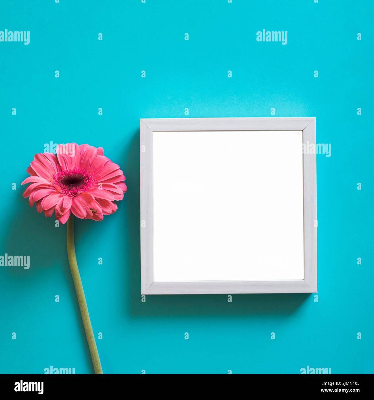 Summer bridal flower hi-res stock photography and images - Alamy